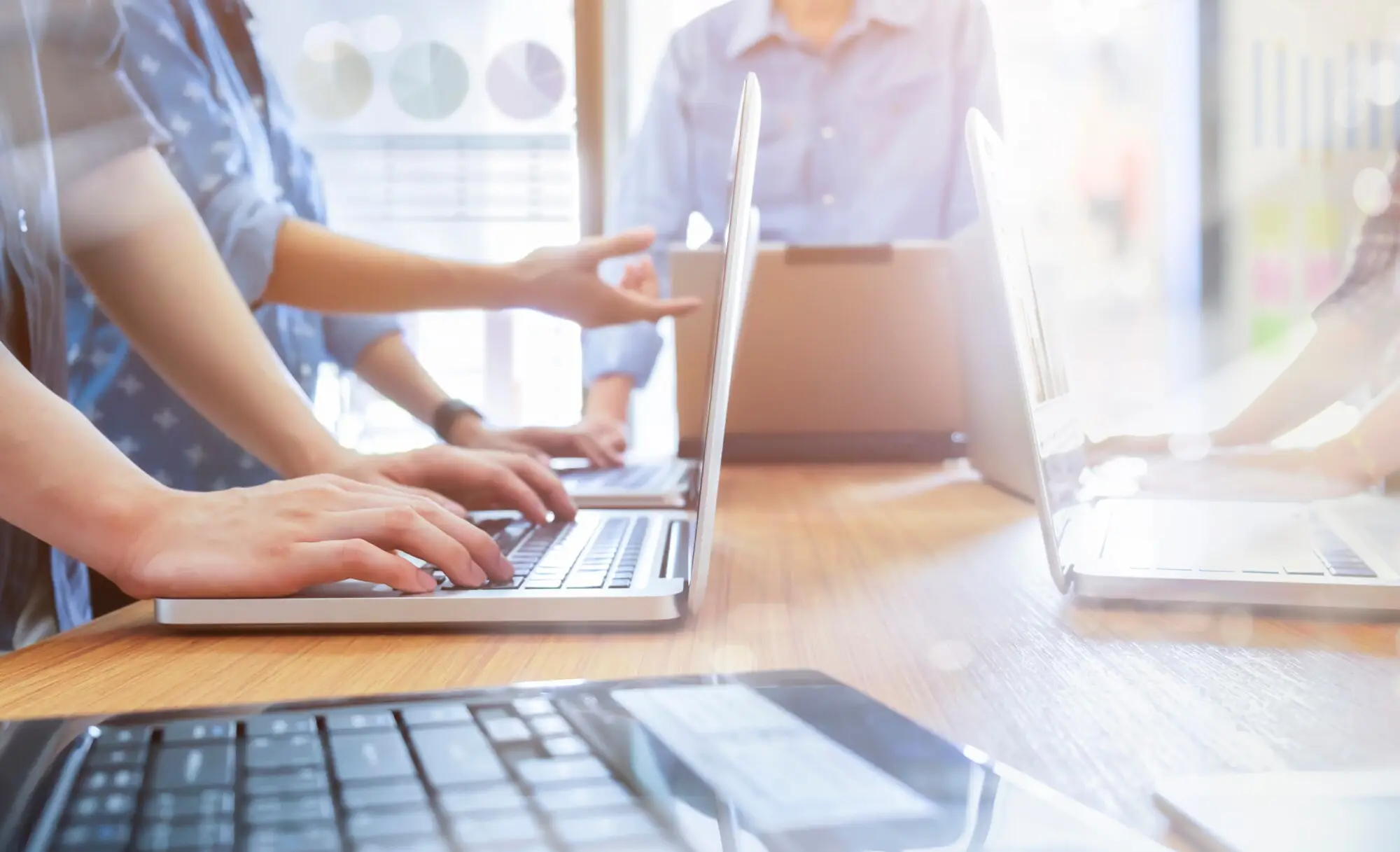 Solutions Informatique - Avenelink